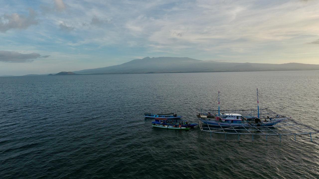 Saleh Bay And Sumbawa Whale Shark - Sumbawa Adventour
